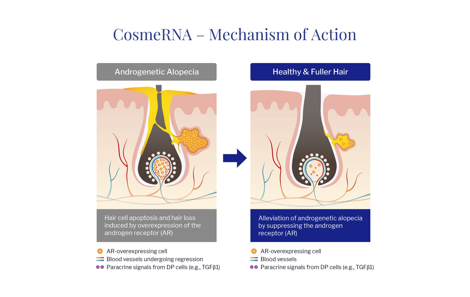 Science – CosmeRNA
