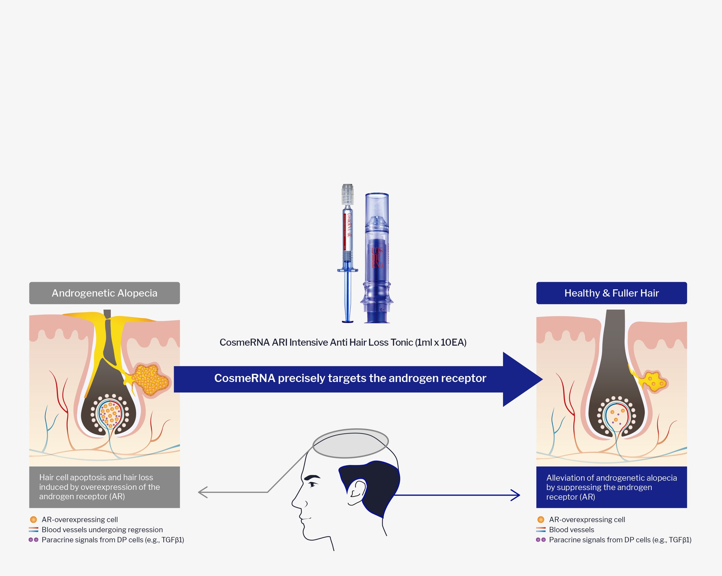 Cosmerna – CosmeRNA