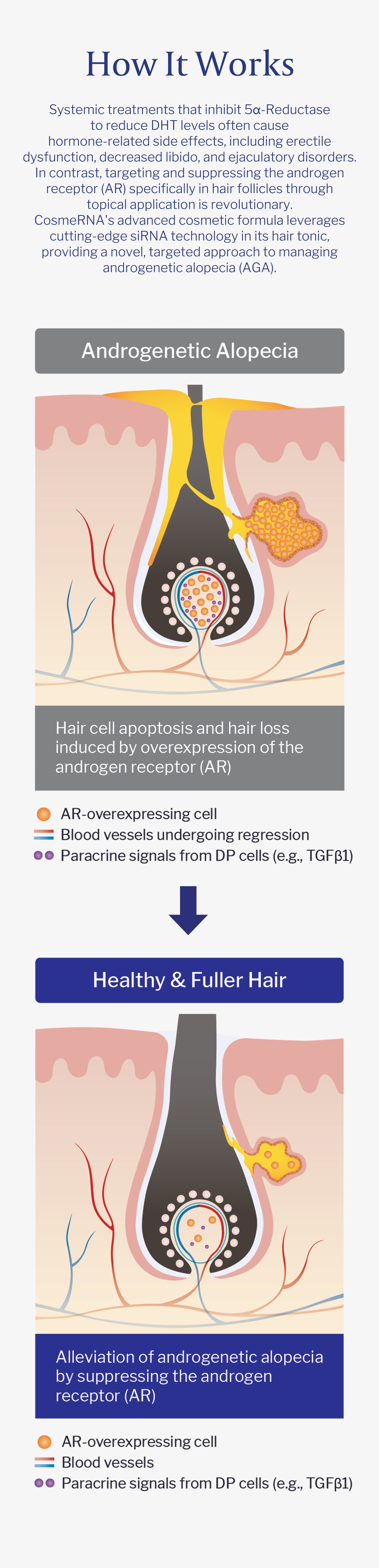 Science – CosmeRNA