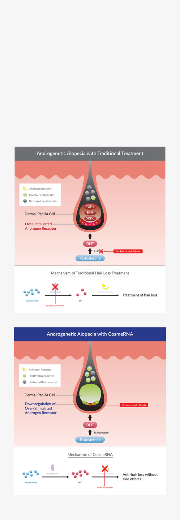 Cosmerna – CosmeRNA