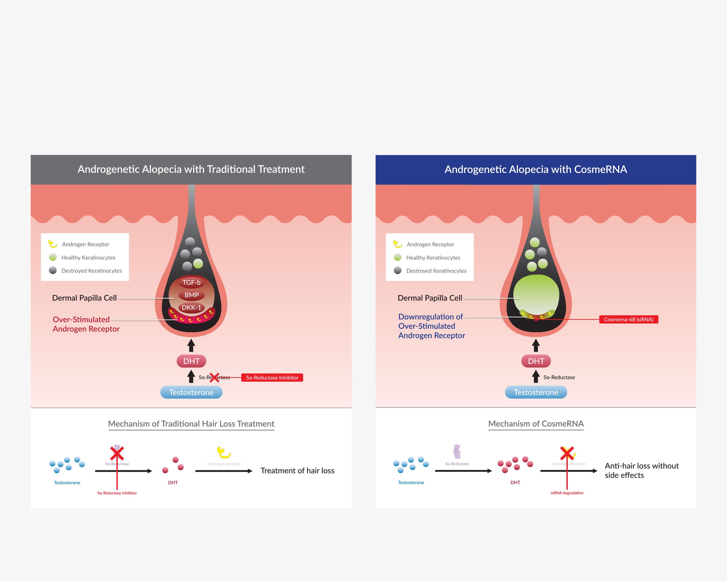 Cosmerna – CosmeRNA