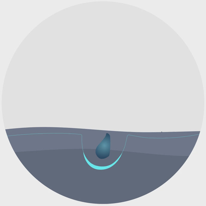 Cosmerna – cosmerna